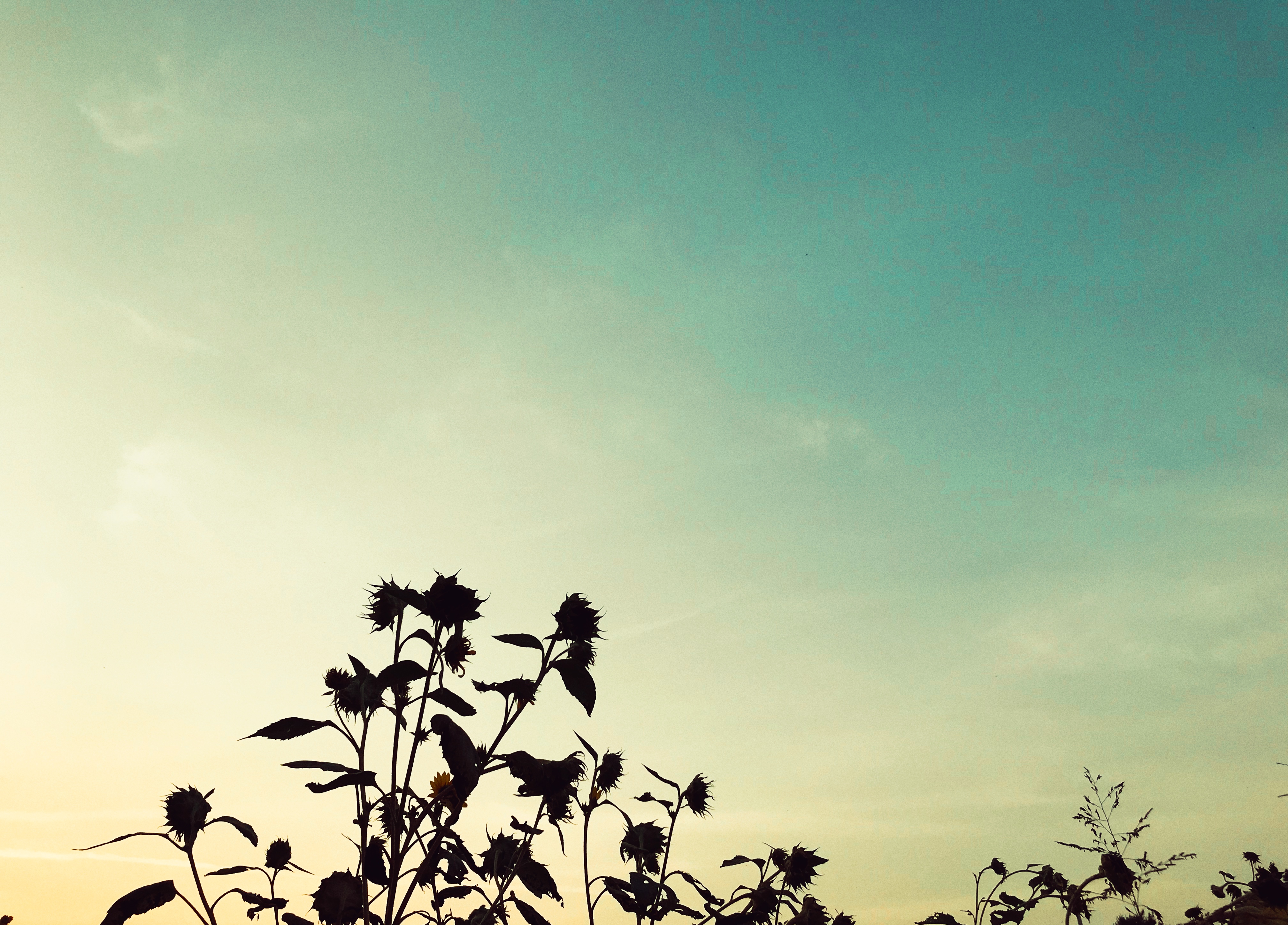 Submit Your Work – S&A MAGAZINE